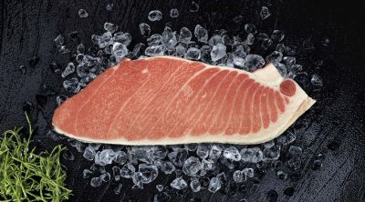 Beste verse tonijn online I Vishandel STELOY