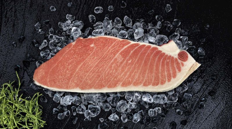 Beste verse tonijn online I Vishandel STELOY