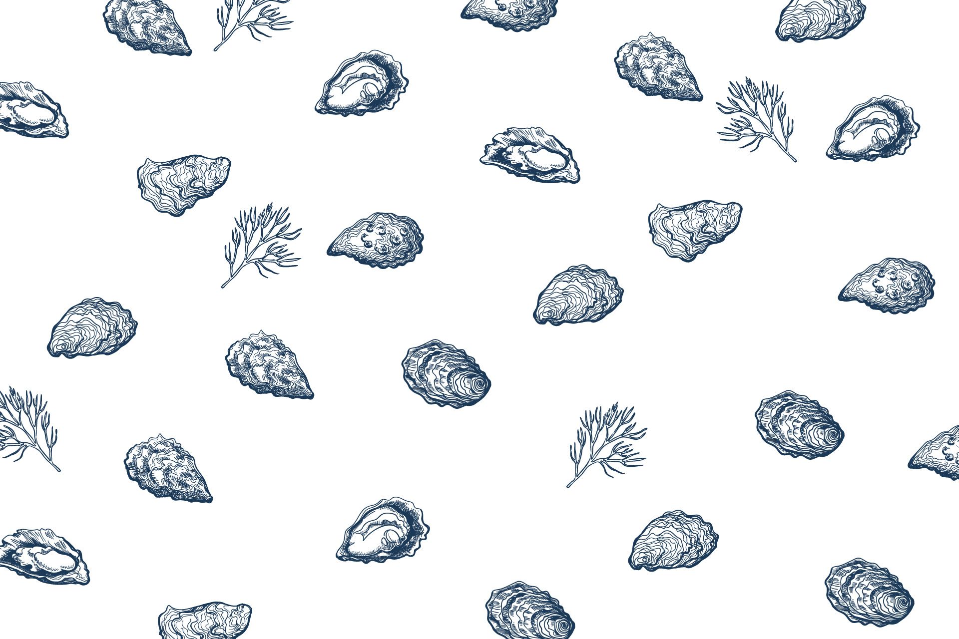 Bestel oesters online I Vishandel STELOY