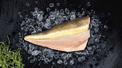 Dagelijkse aanvoer van verse vis I Vishandel STELOY