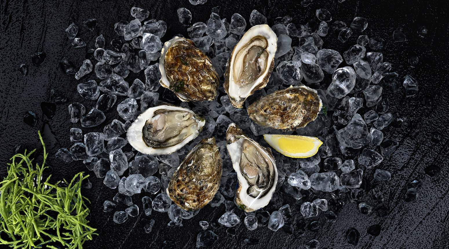 Bestel oesters online I Vishandel STELOY