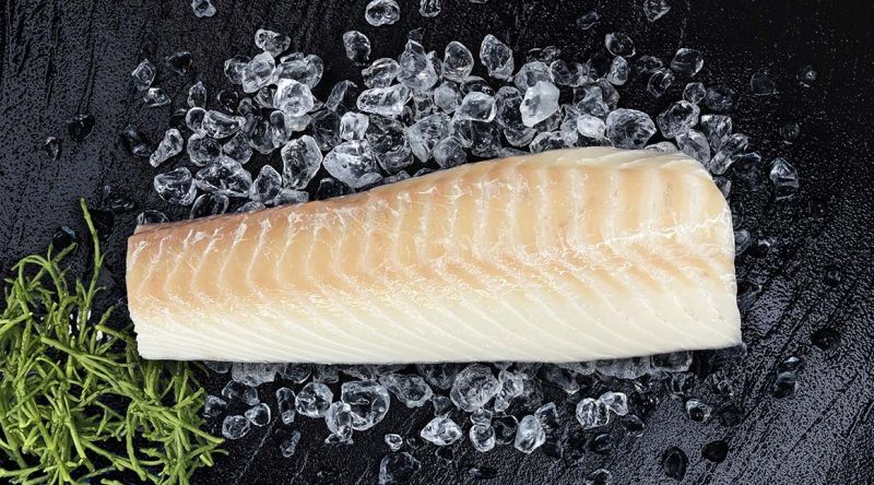 Dagelijkse aanvoer van verse vis I Vishandel STELOY