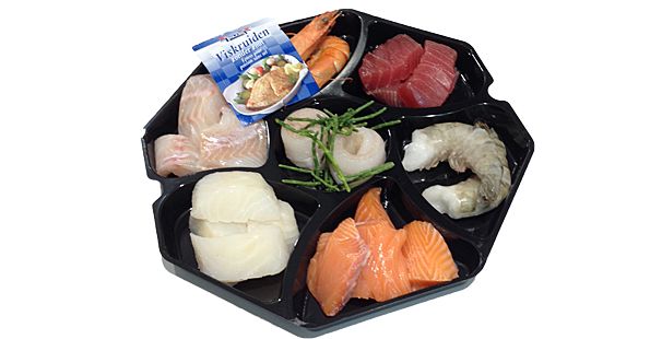 Dagelijkse aanvoer van verse vis I Vishandel STELOY