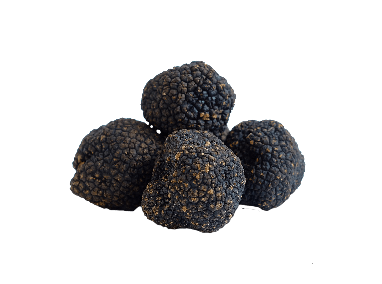 Truffel vers - zwart | 10401