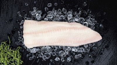 Dagelijkse aanvoer van verse vis I Vishandel STELOY