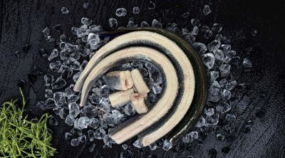 Dagelijkse aanvoer van verse vis I Vishandel STELOY